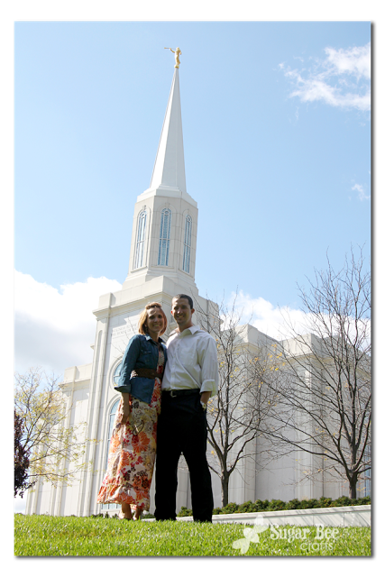 Photo Glimpse - St. Louis - Sugar Bee Crafts