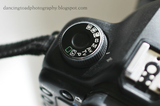 Getting to Know YOUR Camera - Photo Contributor - Sugar Bee Crafts