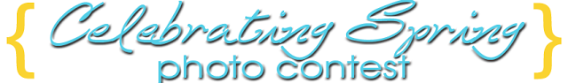 Celebrating Spring - photo contest!! - Sugar Bee Crafts