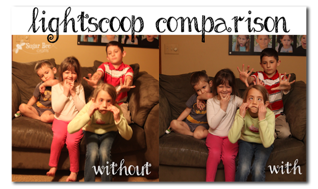 Check out the Lightscoop - Sugar Bee Crafts