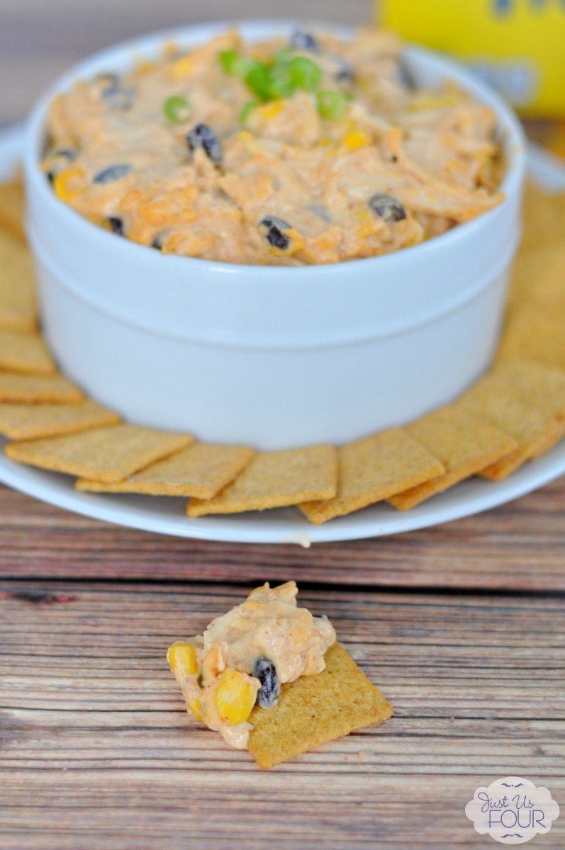 {Food Contributor} Tex-Mex Party Dip - Sugar Bee Crafts