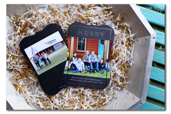 Holiday Cards with Tiny Prints - Sugar Bee Crafts