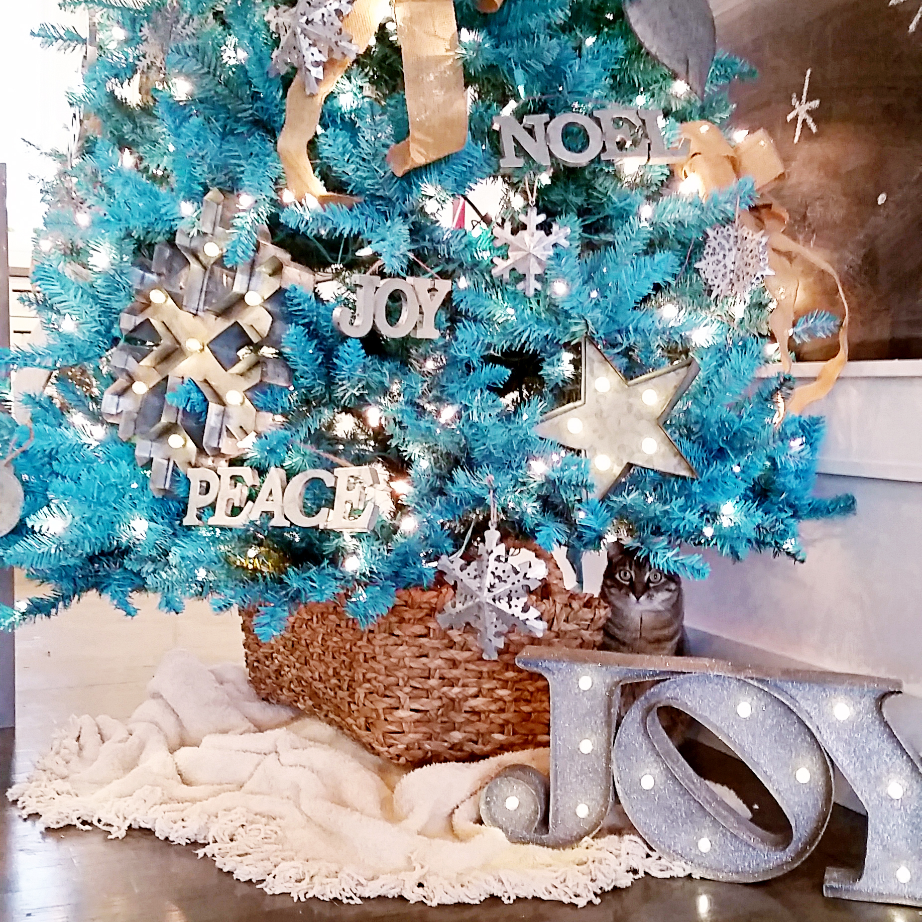 Rustic Modern, Dream Tree Reveal - Sugar Bee Crafts