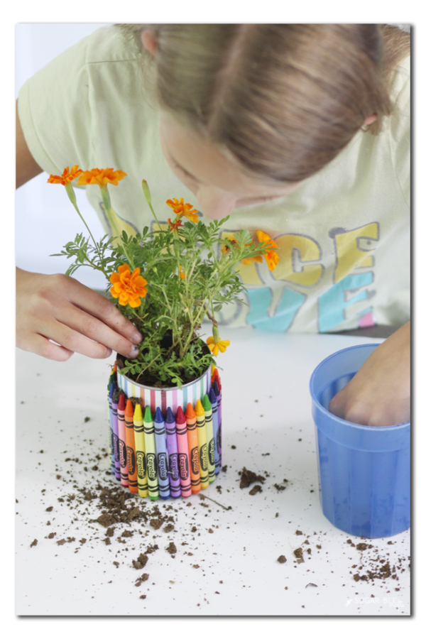 DIY Crayon Vase, teacher gift idea - Sugar Bee Crafts