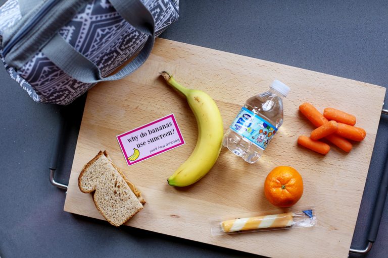 Lunch Box Jokes for Spring, FREE PRINTABLE - Sugar Bee Crafts