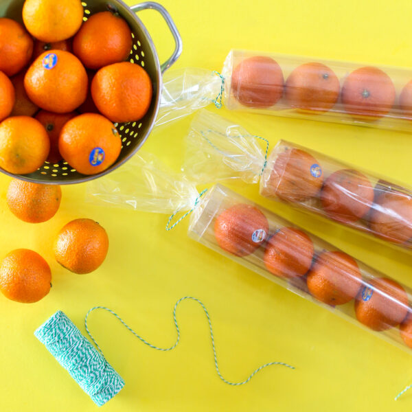 Cuties Gift Idea - Sugar Bee Crafts