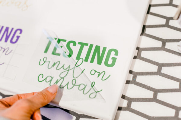 Vinyl on a Canvas - Sugar Bee Crafts