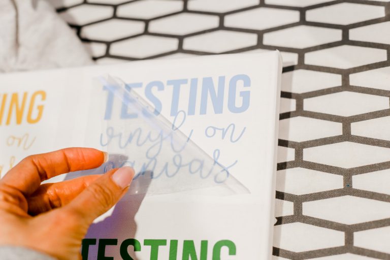 Vinyl on a Canvas - Sugar Bee Crafts